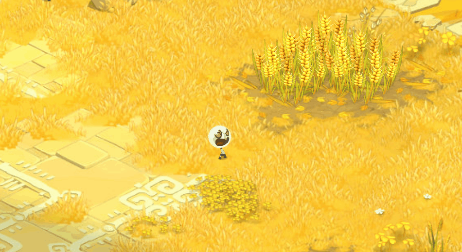 Pack de classe – Iop - Shop - Actualités - DOFUS, le MMORPG stratégique.